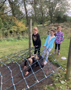 Physical Education (PE) and Sport | Springvale Primary School